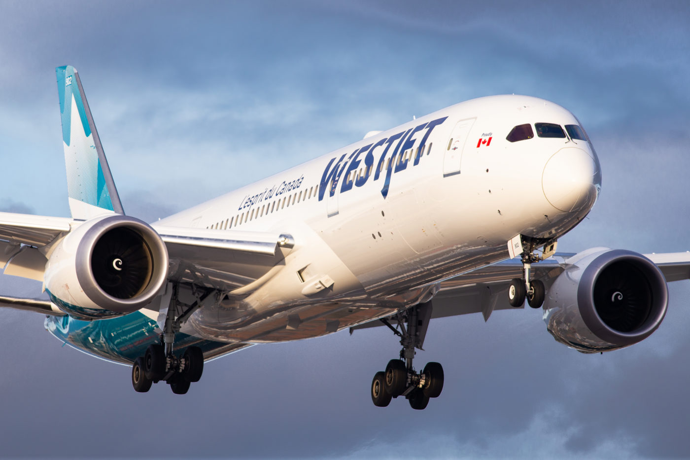 WestJet to re-hire roughly 6,400 employees - Skies Mag